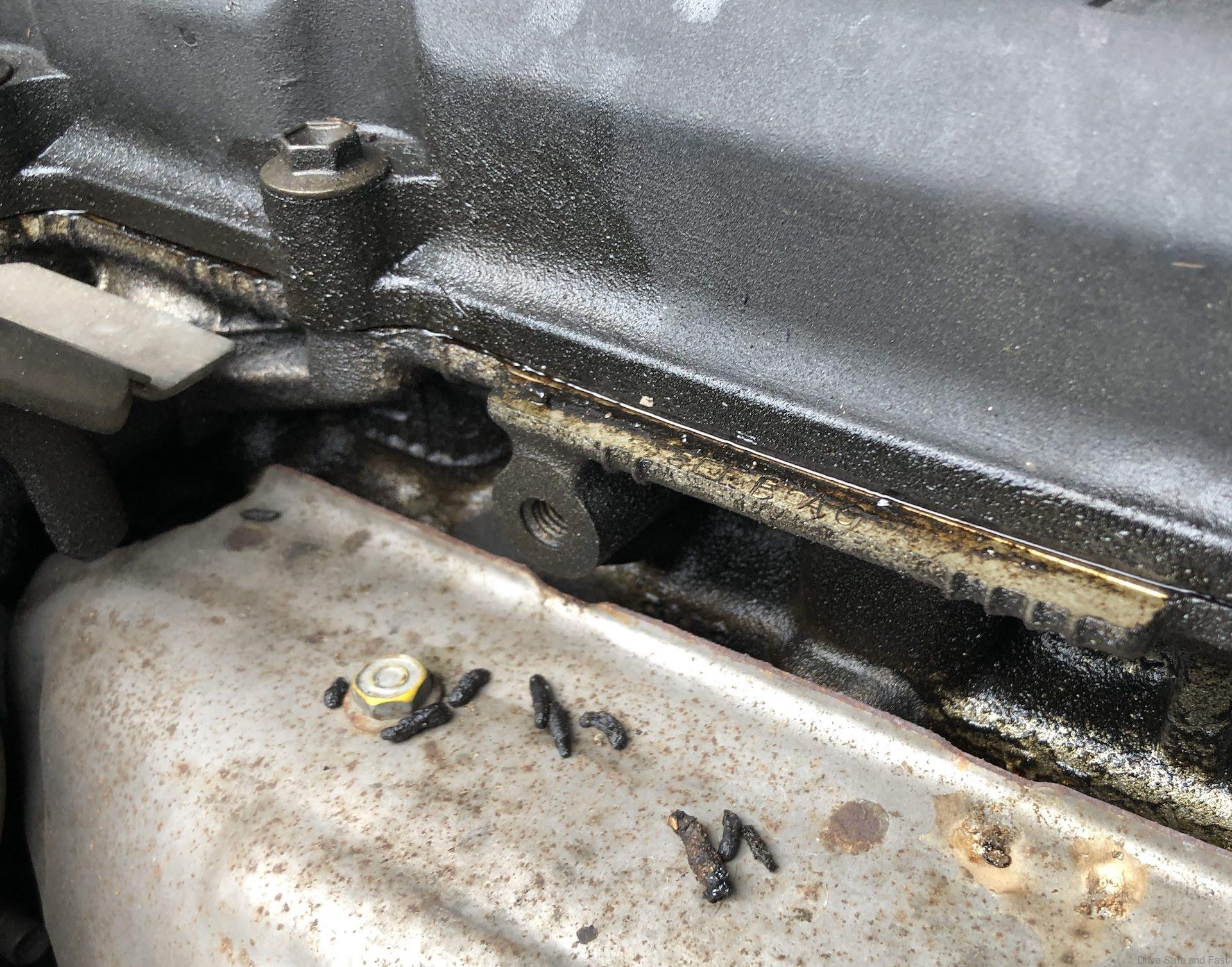 Rats might live in your engine bay during Lockdown