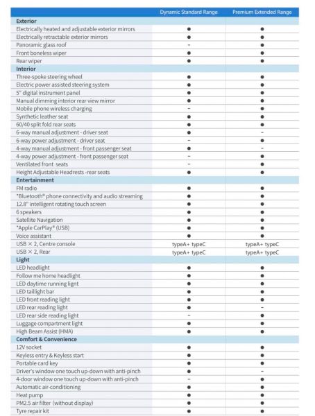 Influencer Gaylen Hong Buys A BYD Dolphin Electric Crossover