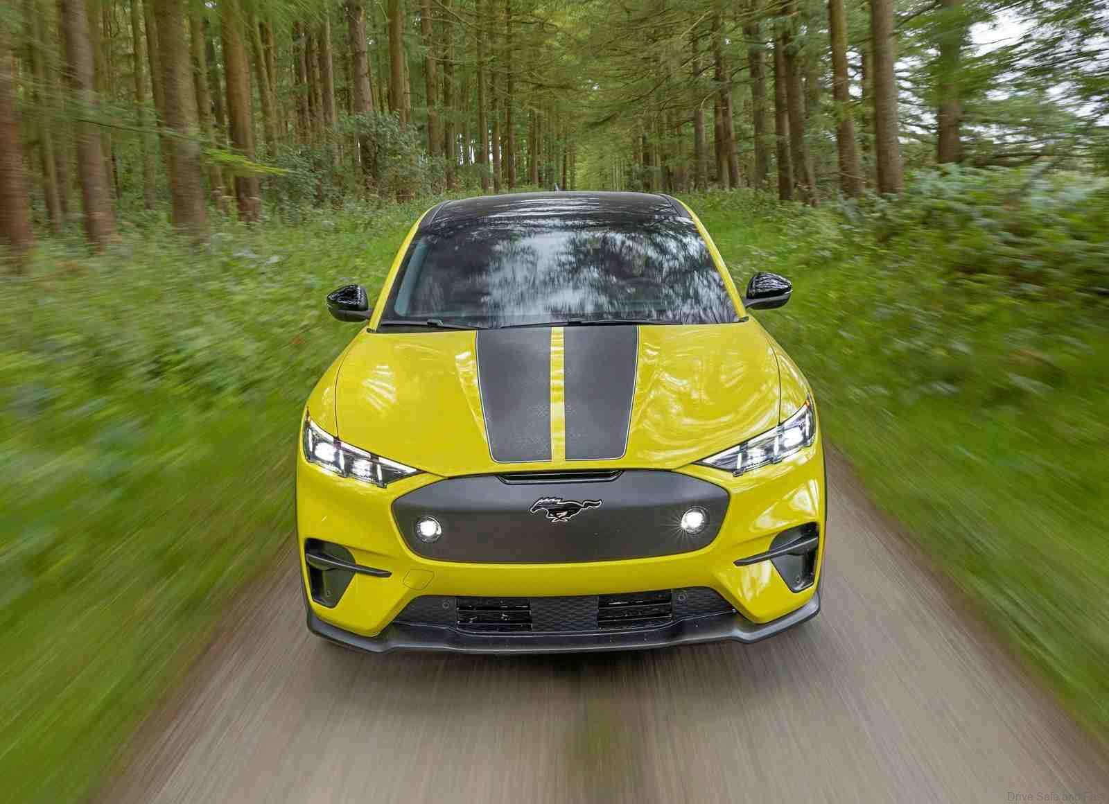 Ford Mustang Mach-E Rally Look Fast And Capable